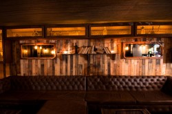 Gallery – Harvard & Stone